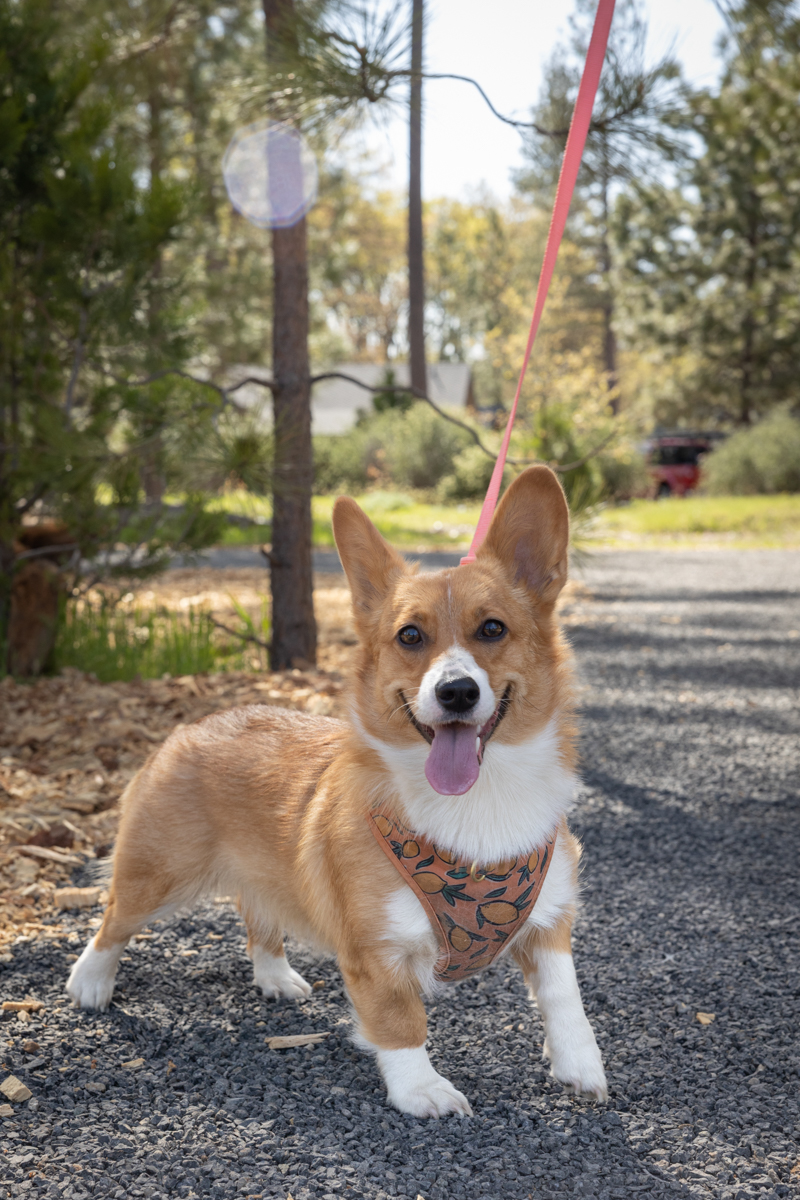 Photos of the Firefall Experience - Firefall Ranch Yosemite